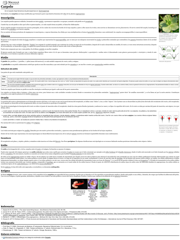 Carpelo | PDF | Ramas de la botánica | Polinización