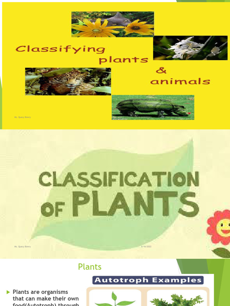 Classification of Animals and Plants | PDF | Invertebrate | Plants