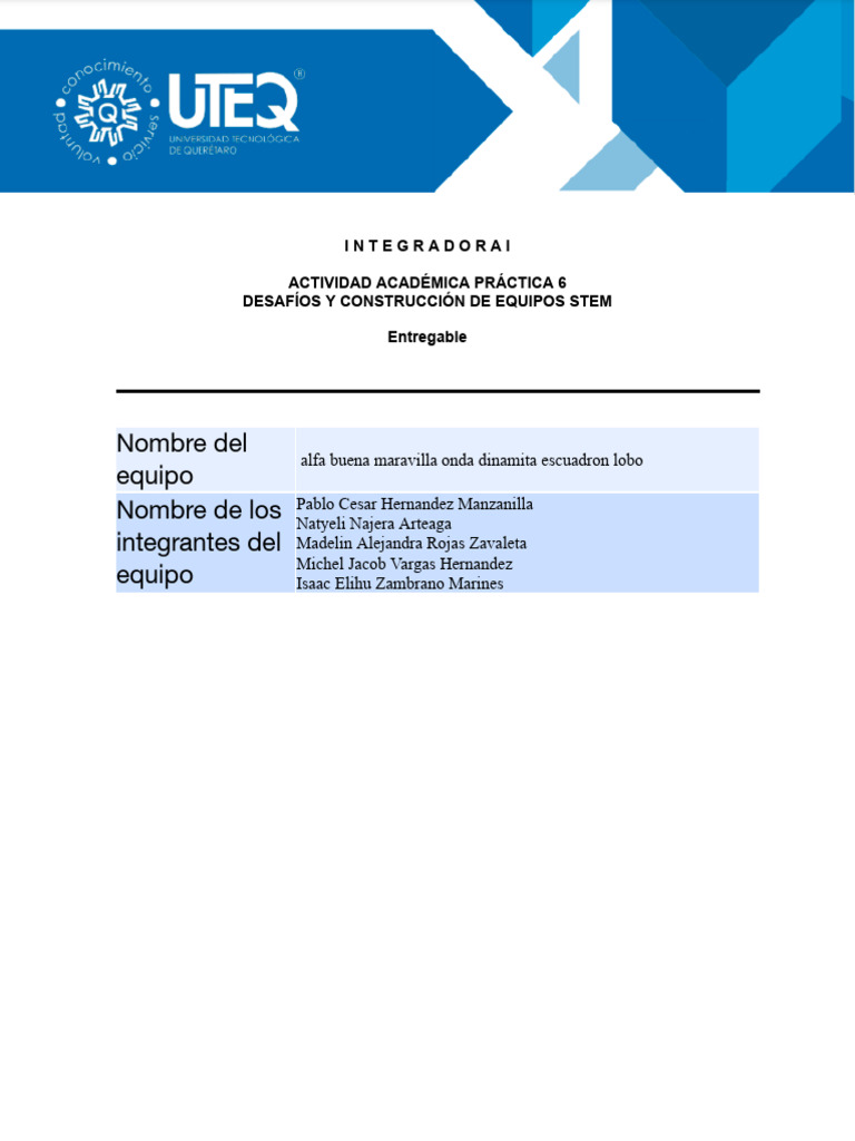 AAP 6 Integradora (Word) | PDF