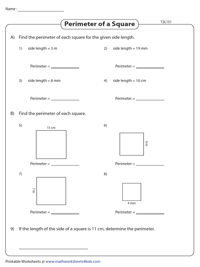 Square Perimeter Metric Integers-T2-L1-1 | PDF | Teaching Methods ...