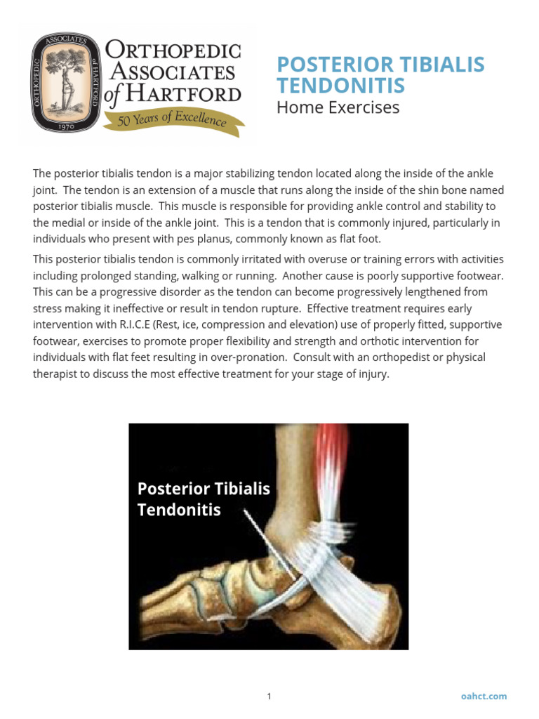 Posterior Tibialis Tendonitis Pain Exercises | PDF | Foot ...