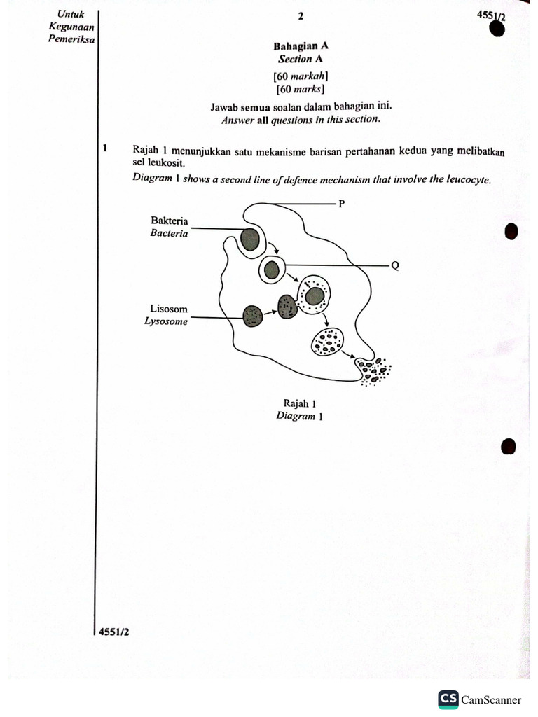 Selangor Biologi K2 (Set 2) | PDF