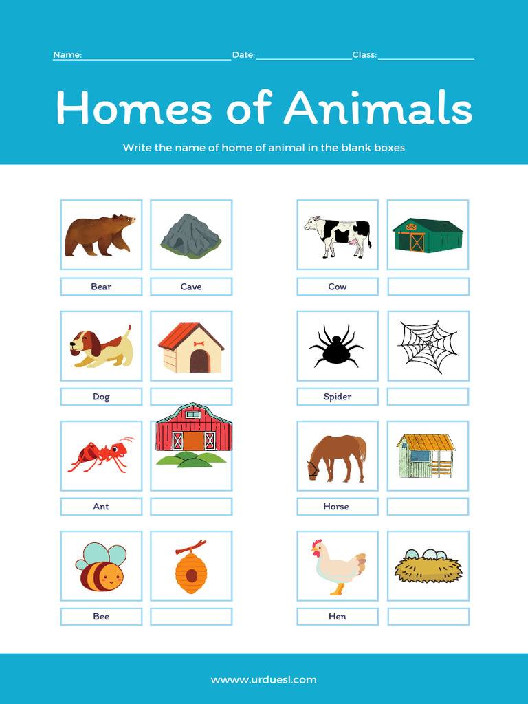 Animal Homes Worksheet | PDF