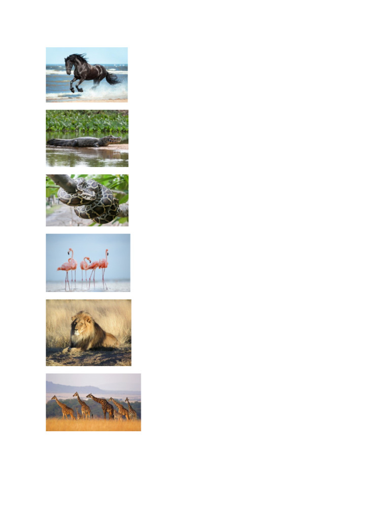 D.Singh HSB SBA Classification | PDF