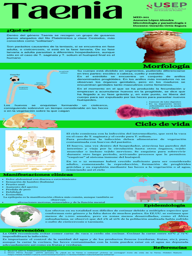 Taenia | PDF | Enfermedades y trastornos | Medicina CLINICA