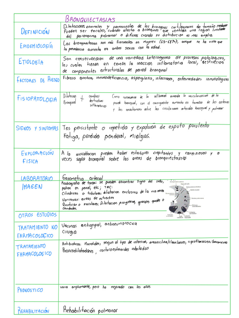 Documento (2) - WPS Office | PDF