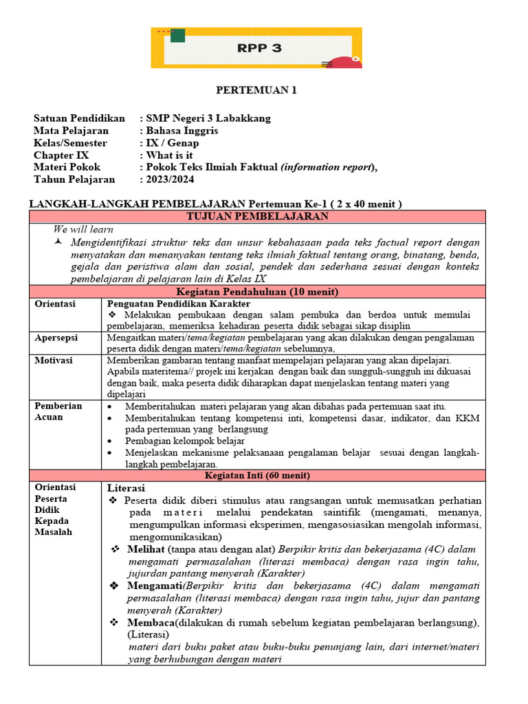 RPP 9 What Is It | PDF