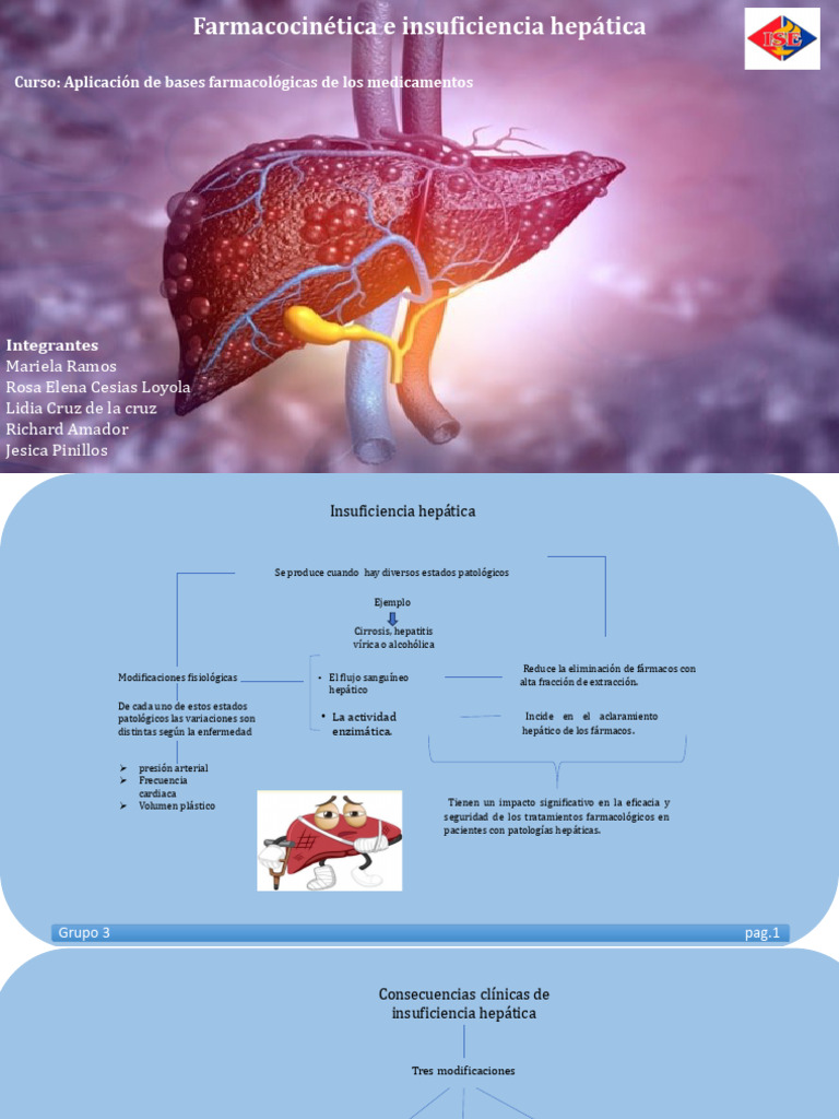 Insuficiencia Hepatica (Finish) | PDF