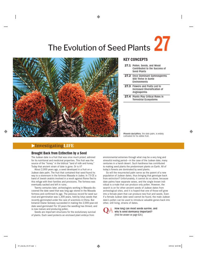 Seed Plant Evolution & Survival | PDF | Seed | Fertilisation