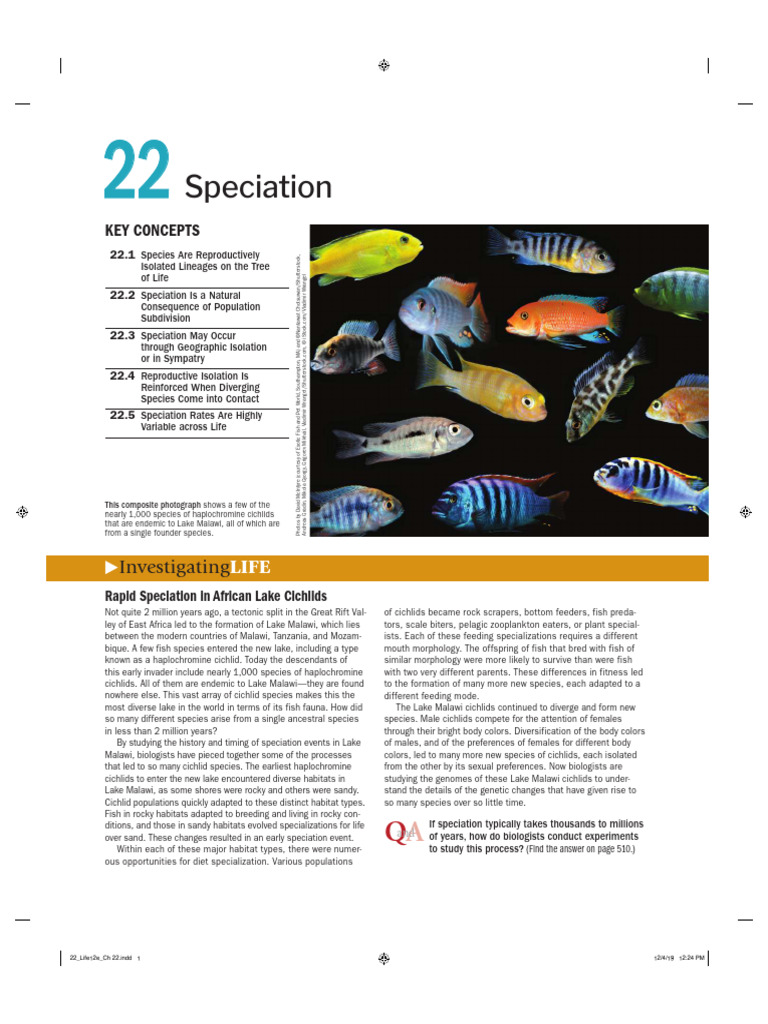 Ch22-Life The Science of Biology 12th Ed 2020 | PDF | Species | Evolution