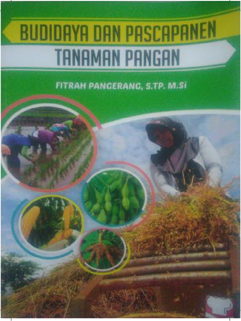 Panduan Budi Daya dan Pascapanen | PDF
