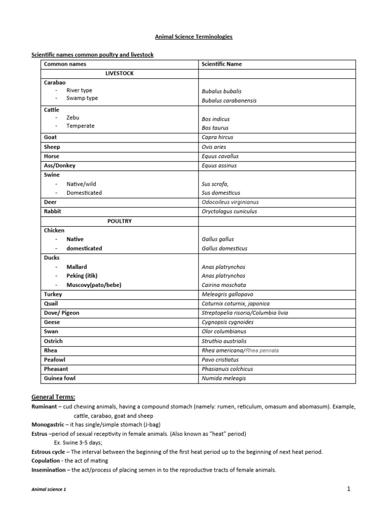 Key Terms in Animal Science | PDF | Cattle | Chicken