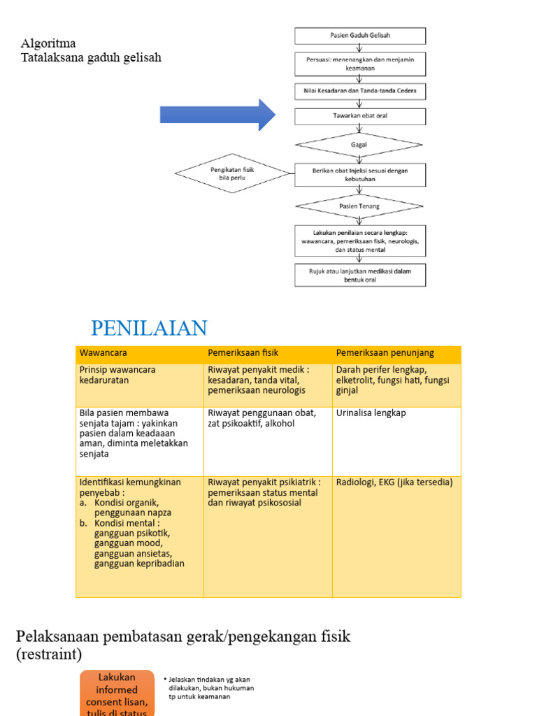 Algoritma Tatalaksana Gaduh Gelisah | PDF