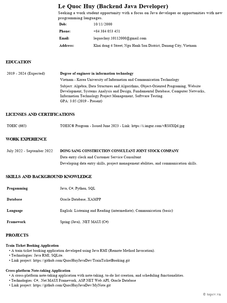 Le Quoc Huy Backend Java Developer TopCV - VN 281223.135647 | PDF | Databases | Java ...