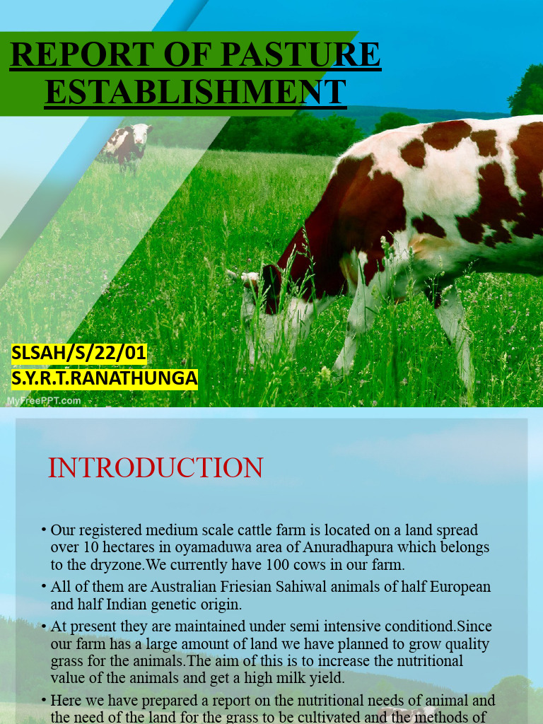 Report of Pasture Establishment | PDF | Sowing | Fertilizer