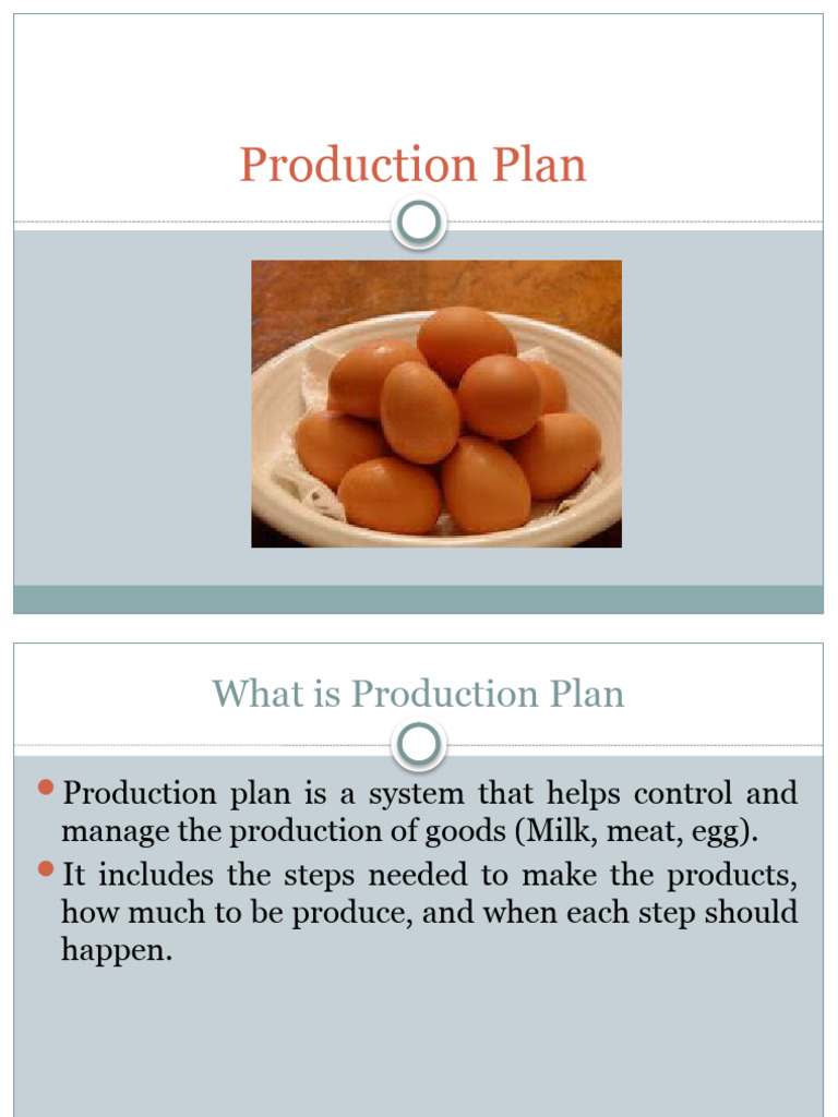 Poultry Production Plan | PDF | Chicken | Egg As Food
