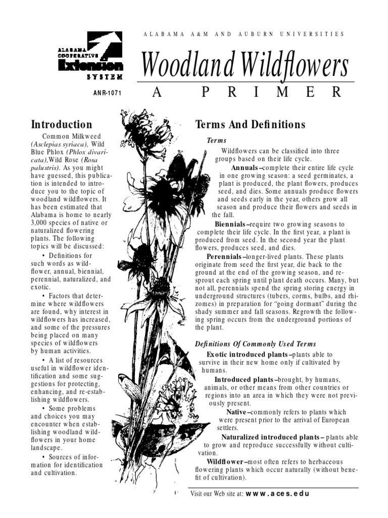 Woodland Wildflowers A Primer | PDF | Forests | Trees