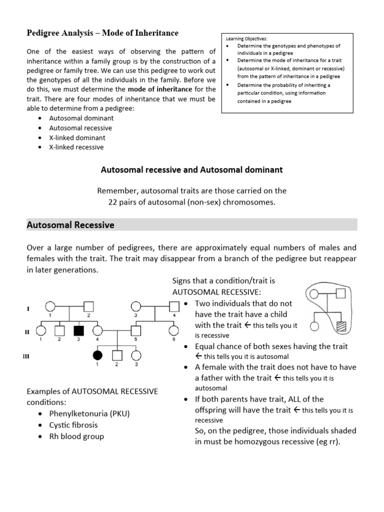 Modes of Inheritance - What To Look For | PDF | Dominance (Genetics ...