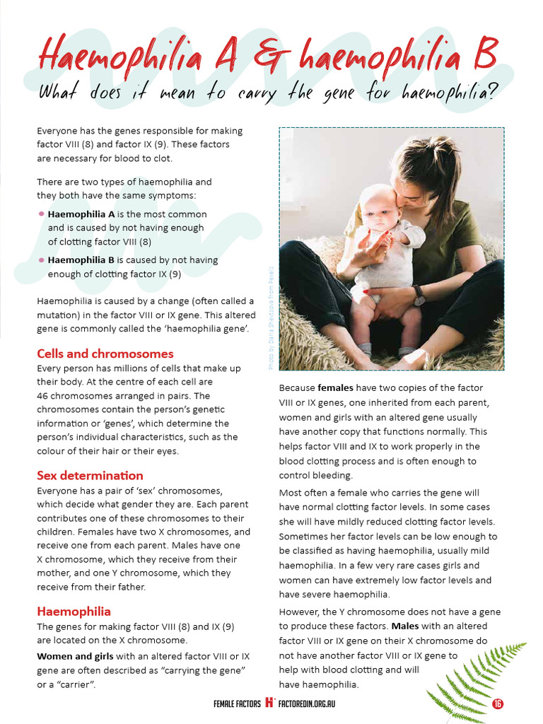 Haemophilia Fact Sheet | PDF | Haemophilia | Diseases And Disorders
