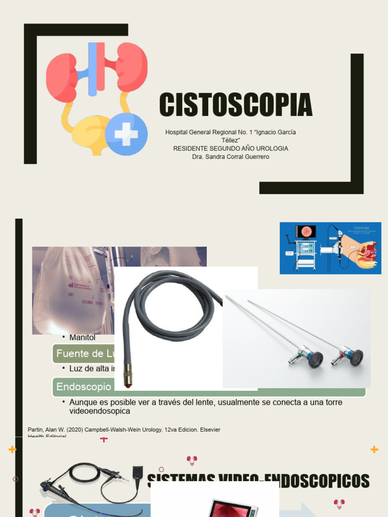 Cistoscopia (1) .PPTM | Descargar gratis PDF | Especialidades Medicas ...