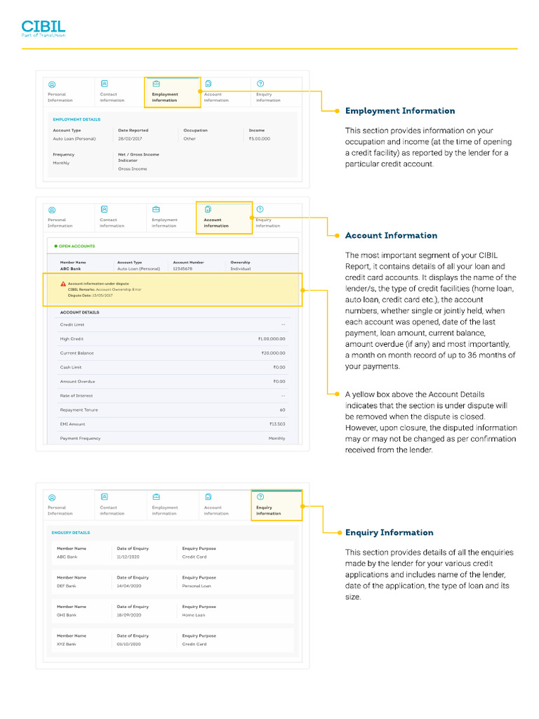 Page From CIBIL-Report-Understanding | PDF