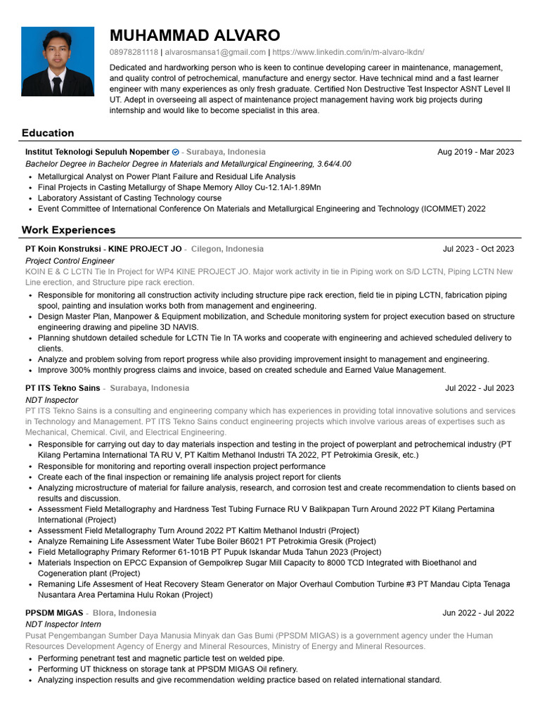 CV - Muhammad Alvaro | PDF | Business | Art