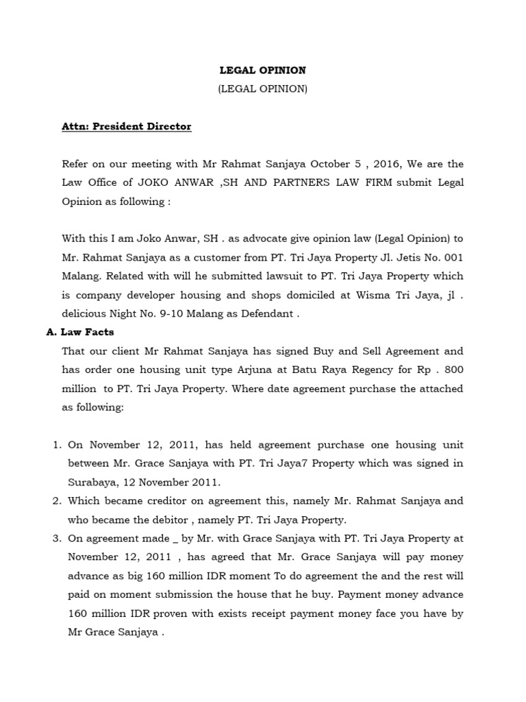 Legal Opinion on Property Dispute | PDF | Private Law | Justice