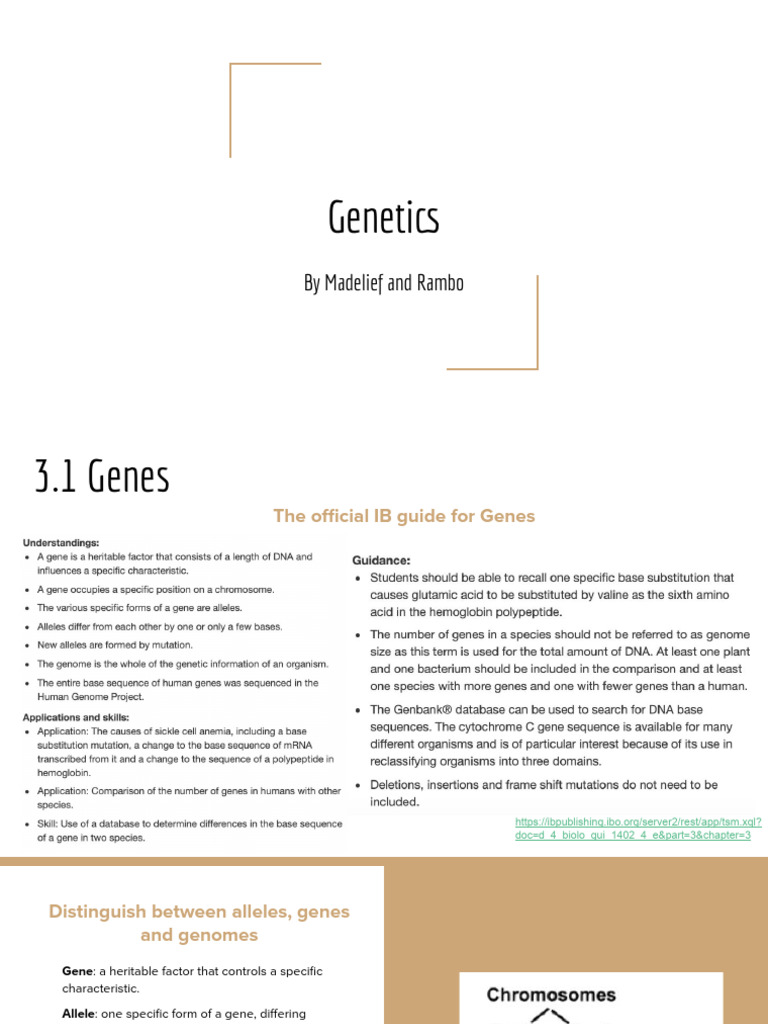 Genetics | PDF | Meiosis | Dominance (Genetics)