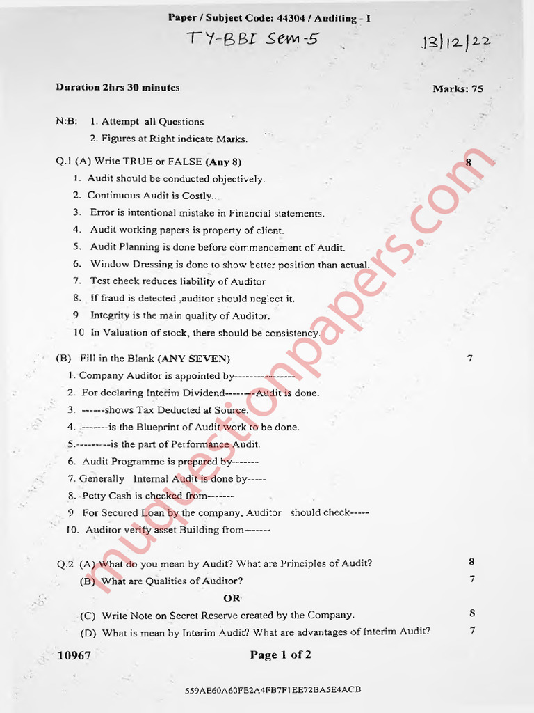 Audit | PDF | Computers | Technology & Engineering