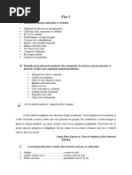 Predicatul Nominal, Fisa de Lucru | PDF