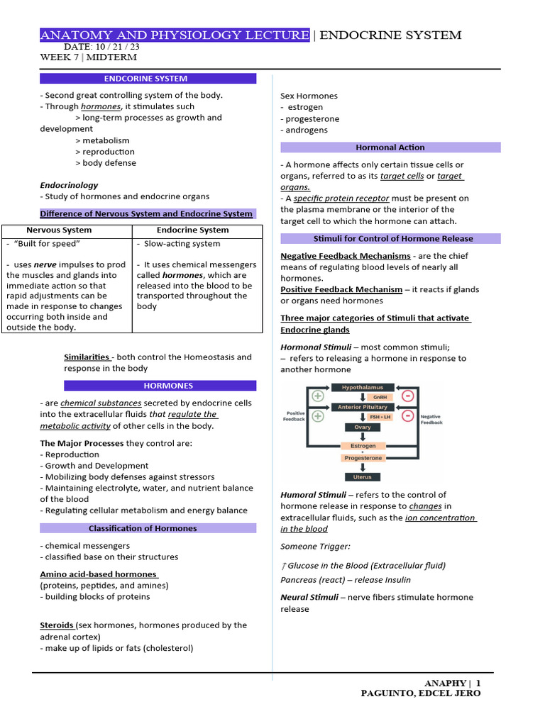 Endocrine System (Midterm) | PDF | Endocrine System | Hormone