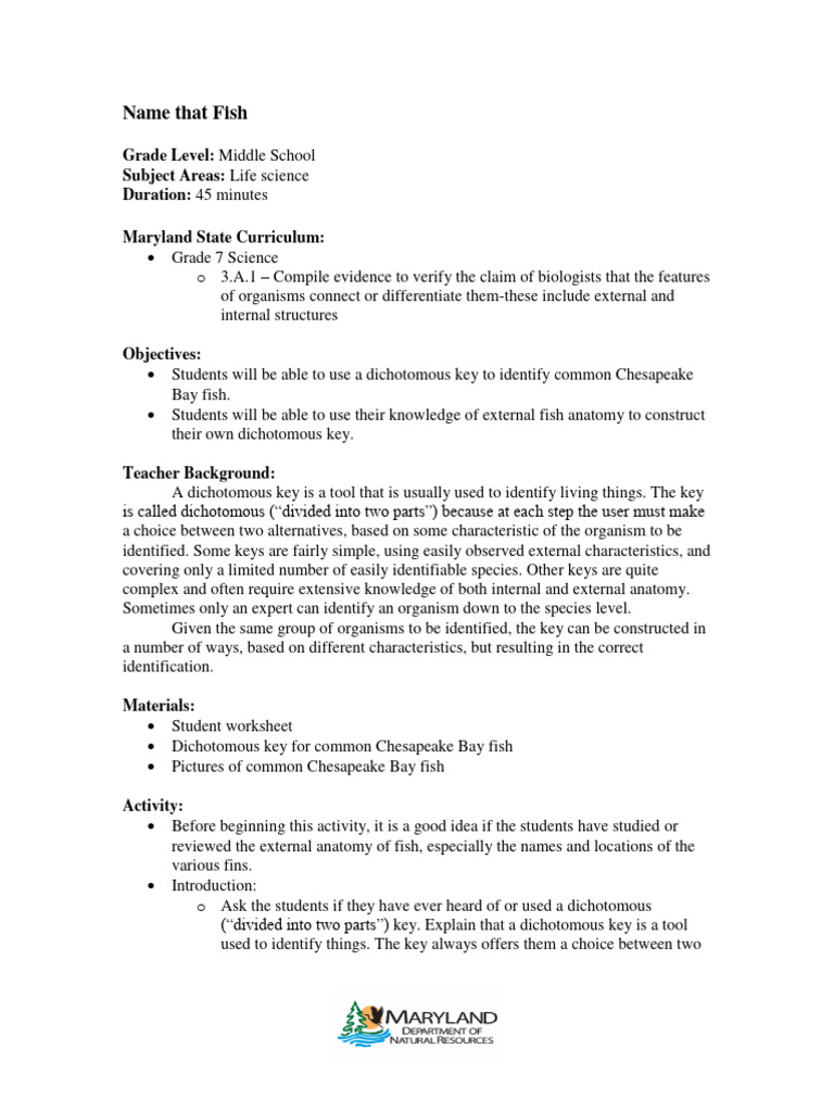 Name That Fish | PDF | Fish | Aquatic Animals