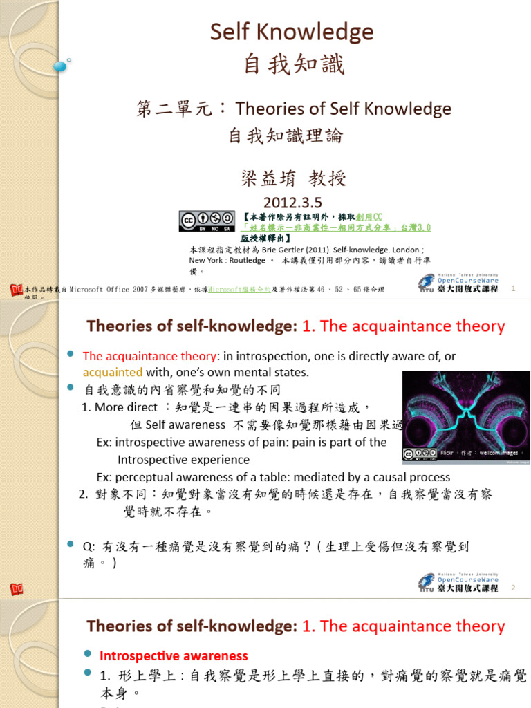 Theories of Self-Knowledge | PDF
