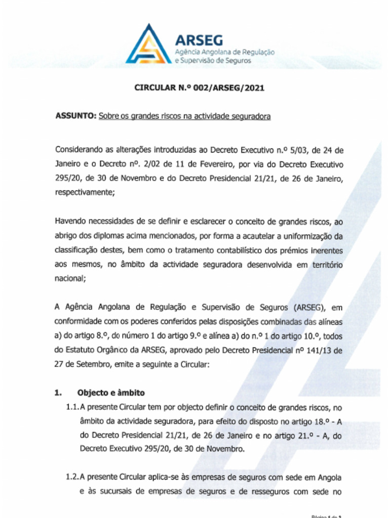 Circular N.º 02 - ARSEG - 2021 - Definição Dos Grandes Riscos Na ...