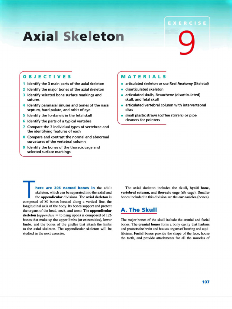 Anaphy 9 | PDF | Foreign Language Studies