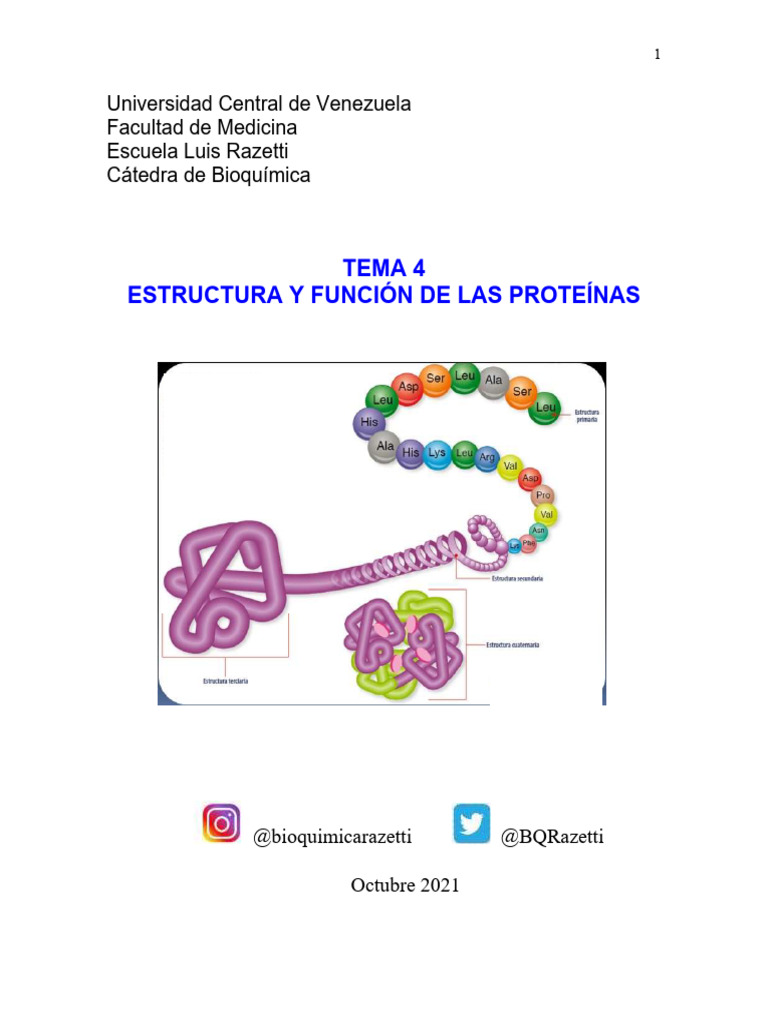 Estructura y Función de Proteínas | PDF | Estructura proteica | Hemoglobina