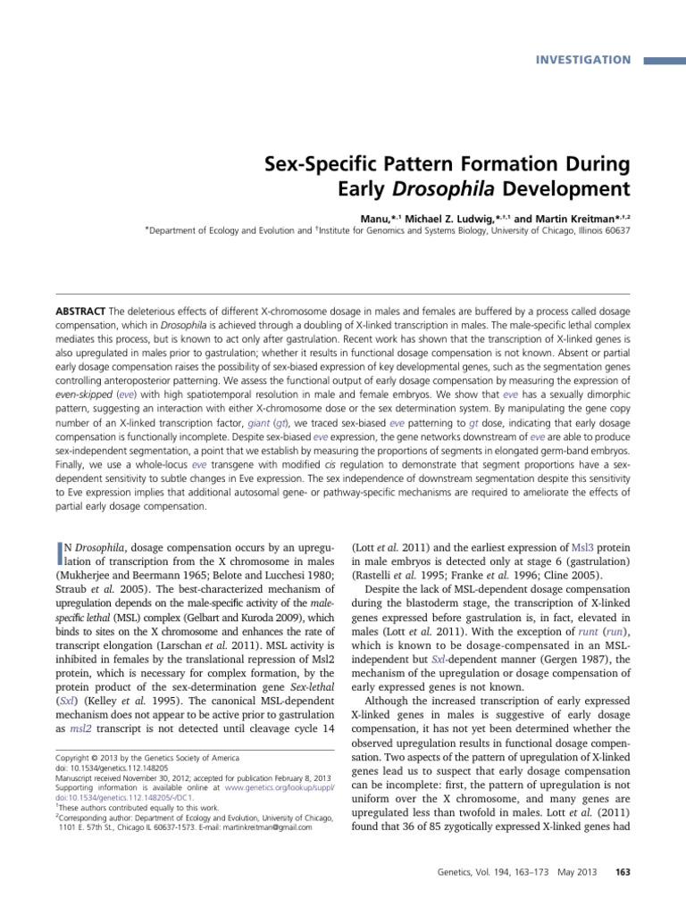 Sex Speci Fic Pattern Formation During Early Drosophila Development Pdf Gene Expression