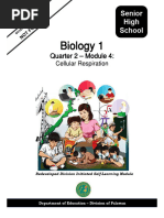 GenBio 1 Lesson 1 ATP and ADP Cycle | PDF | Adenosine Triphosphate | Adenosine Diphosphate