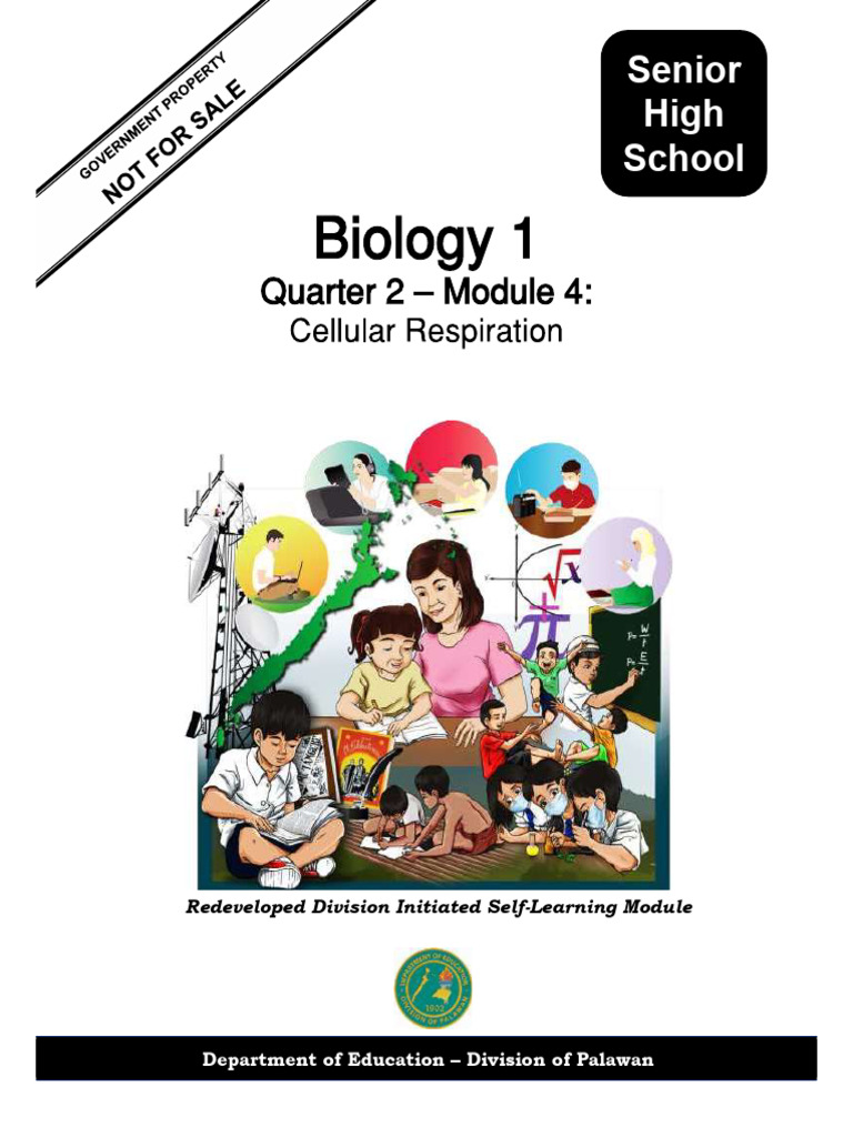Biology 1 Quarter 2 Module 4 | PDF | Cellular Respiration | Glycolysis
