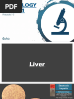 Microbiology Mnemonics | PDF | Bacteria | Gram Negative Bacteria