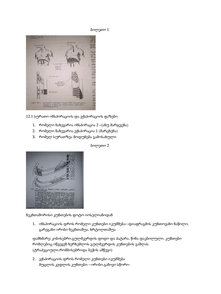 პასუხები ფიზიო ოსპი სუნთქვა | PDF