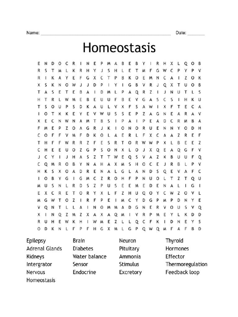 Homeostasis | PDF