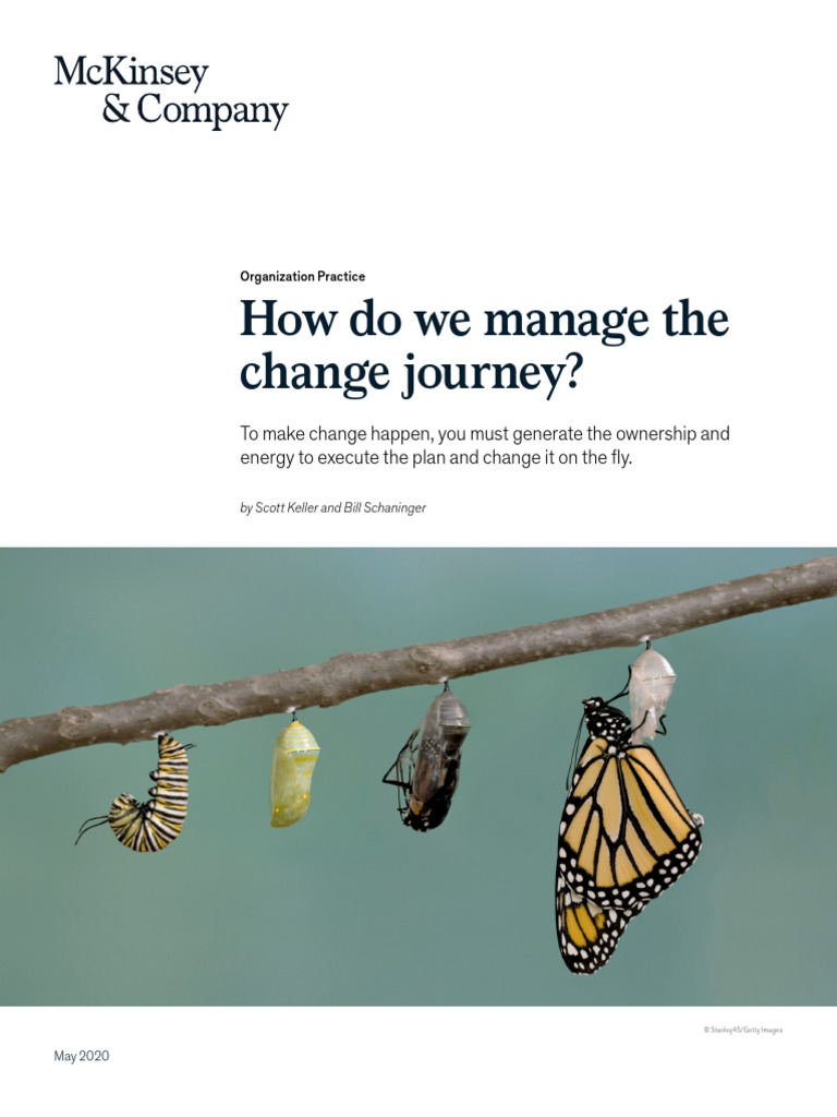 How Do We Manage The Change Journey Vf2 | PDF | Procurement | Governance