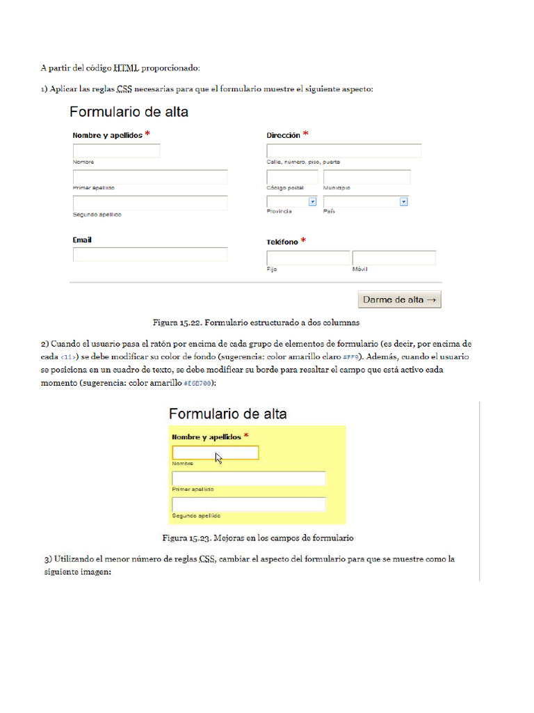Ejercicio - Formulario 1 | PDF