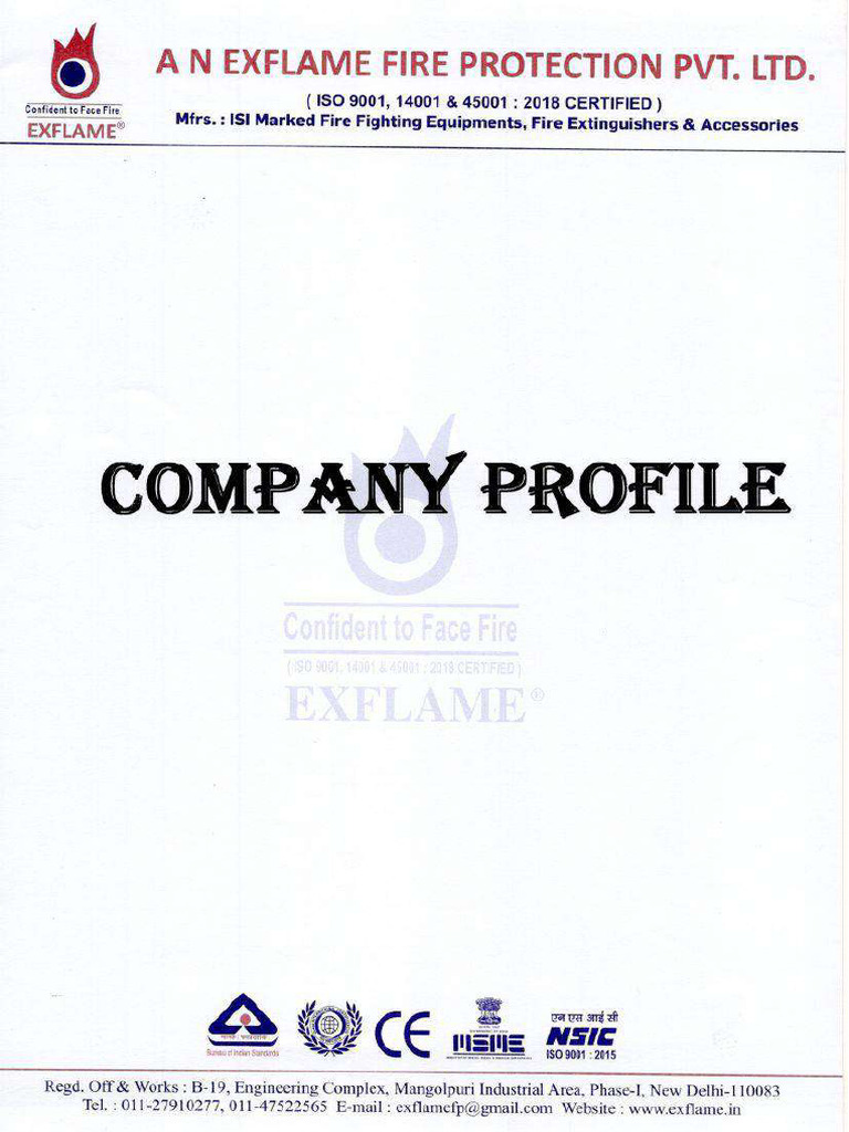 Exflame - Big Company Profile | PDF