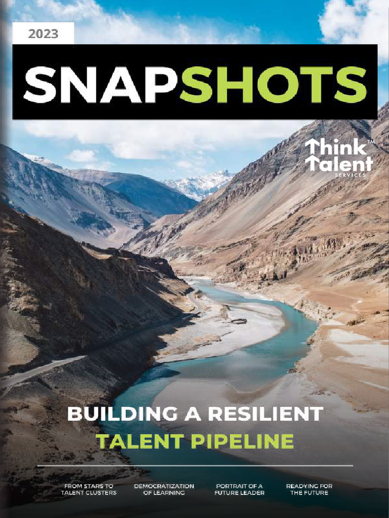 Snapshots 2023 - Think Talent Services - Compressed | PDF | Leadership ...