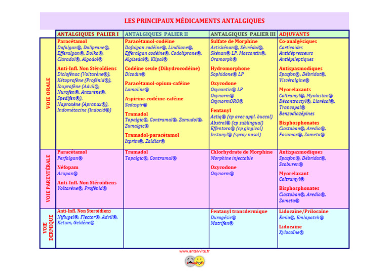 Antalgiques Principaux | PDF | Antalgique | Morphine