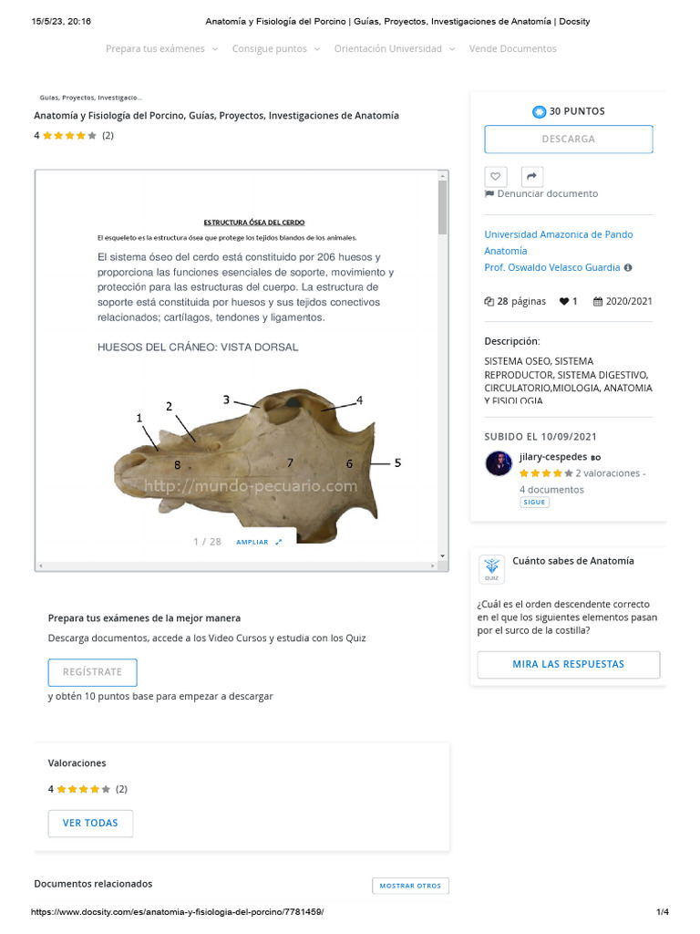 Anatomía y Fisiología Del Porcino - Guías, Proyectos, Investigaciones de Anatomía - Docsity ...
