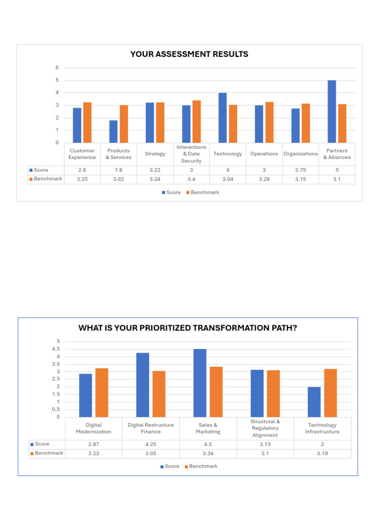 Blue Moon Word Document | PDF | Analytics | Marketing