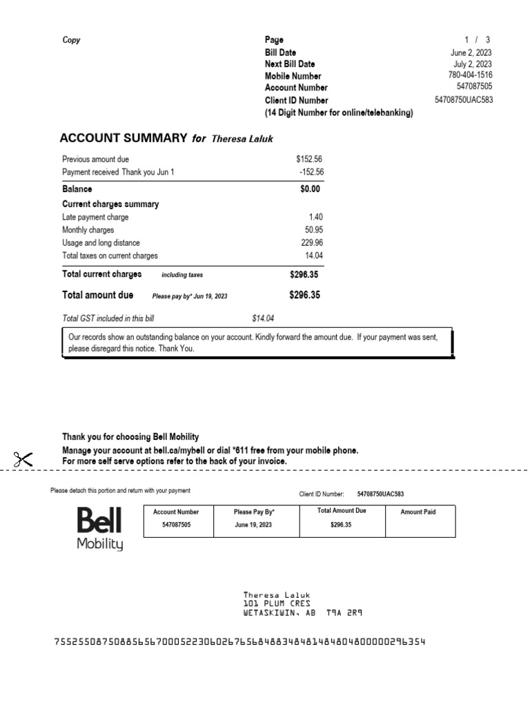 Account Summary: $296.35 Total Amount Due | PDF | Payments | Cheque